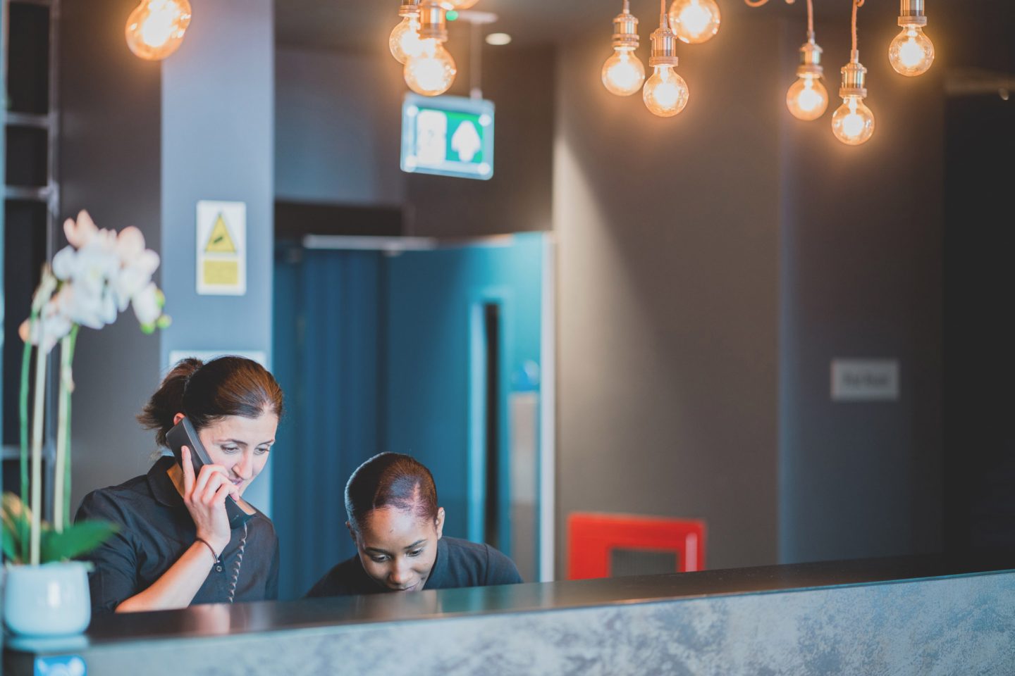 Essential Living - HomeViews