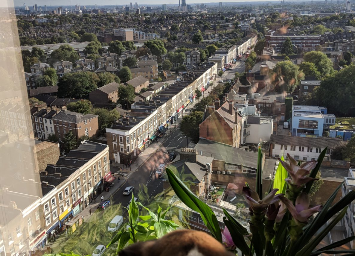 Vantage Point, N19 Reviews | HomeViews