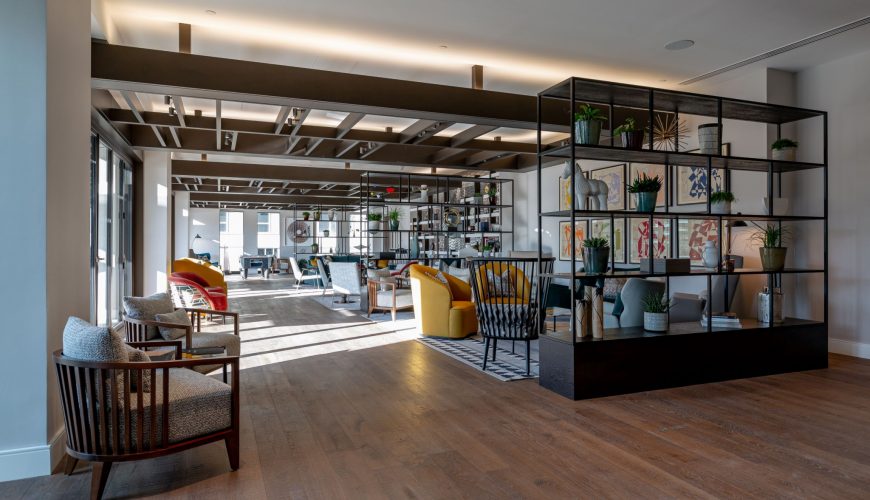 Vertus Reviews | HomeViews