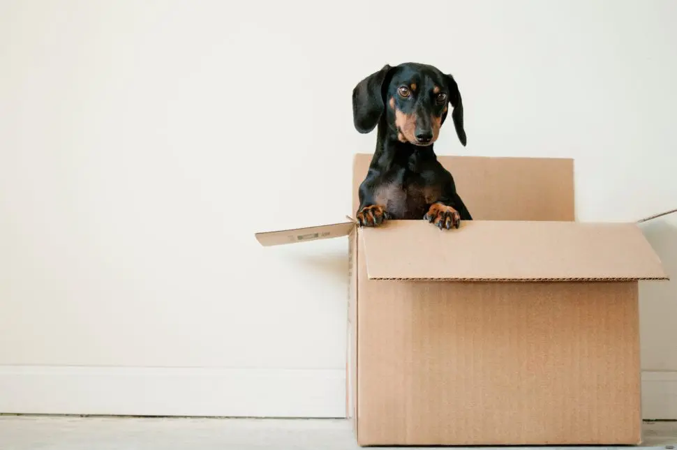What Is An Assured Tenancy HomeViews what-is-an-assured-tenancy-homeviews