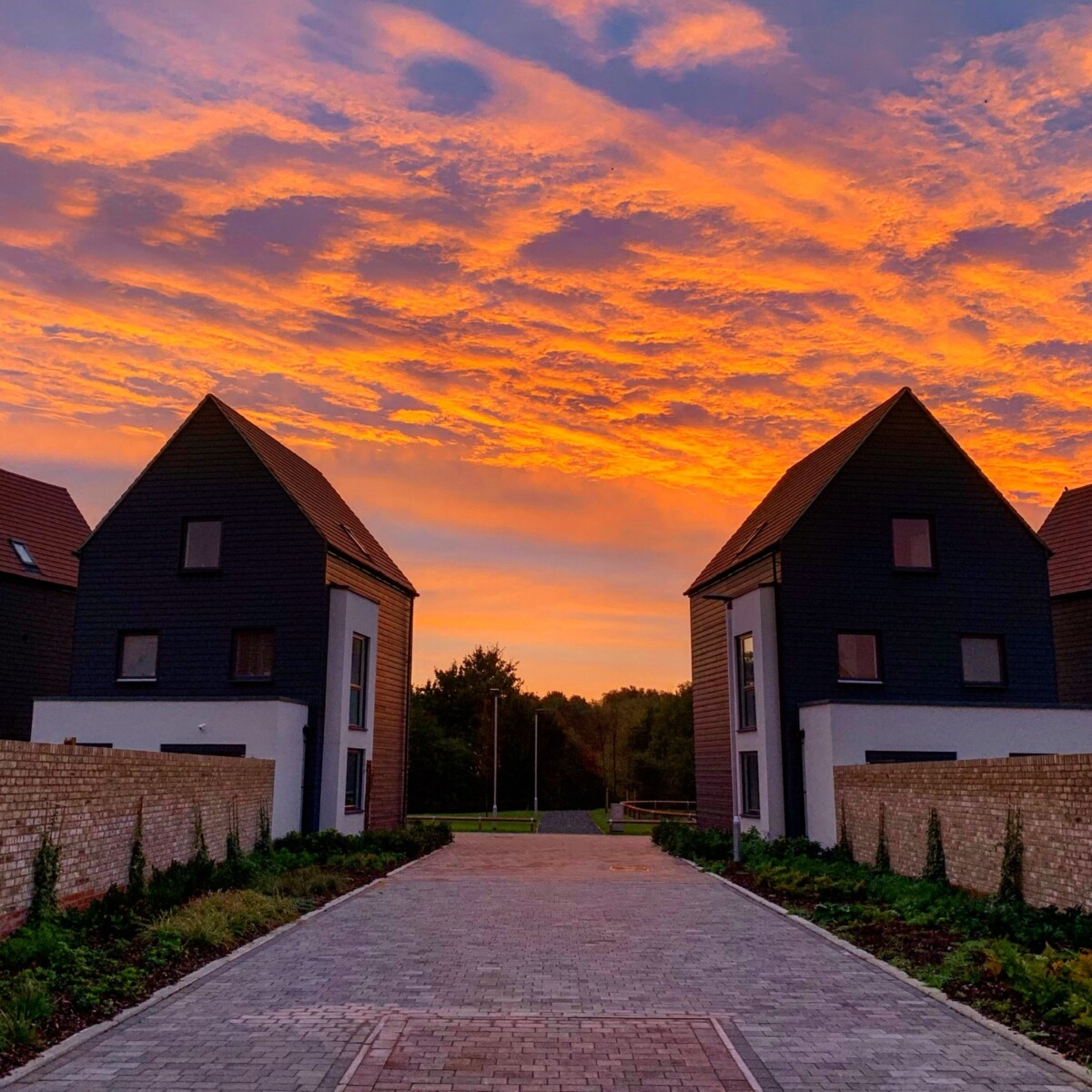 Higgins Homes PLC - HomeViews